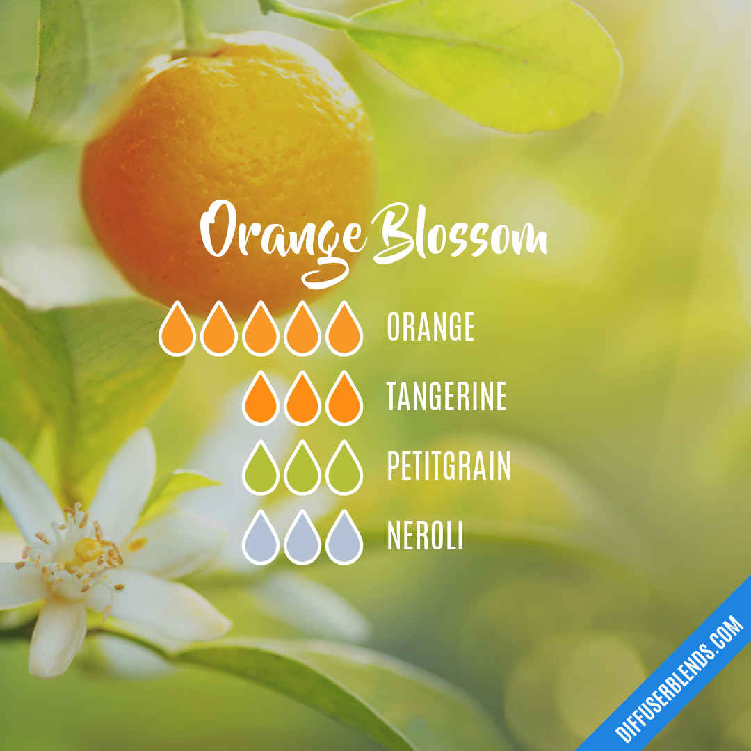 Orange Blossom | DiffuserBlends.com