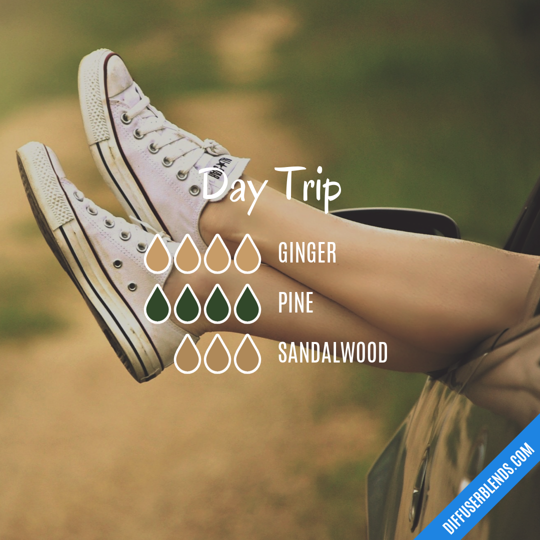 Day Trip | DiffuserBlends.com