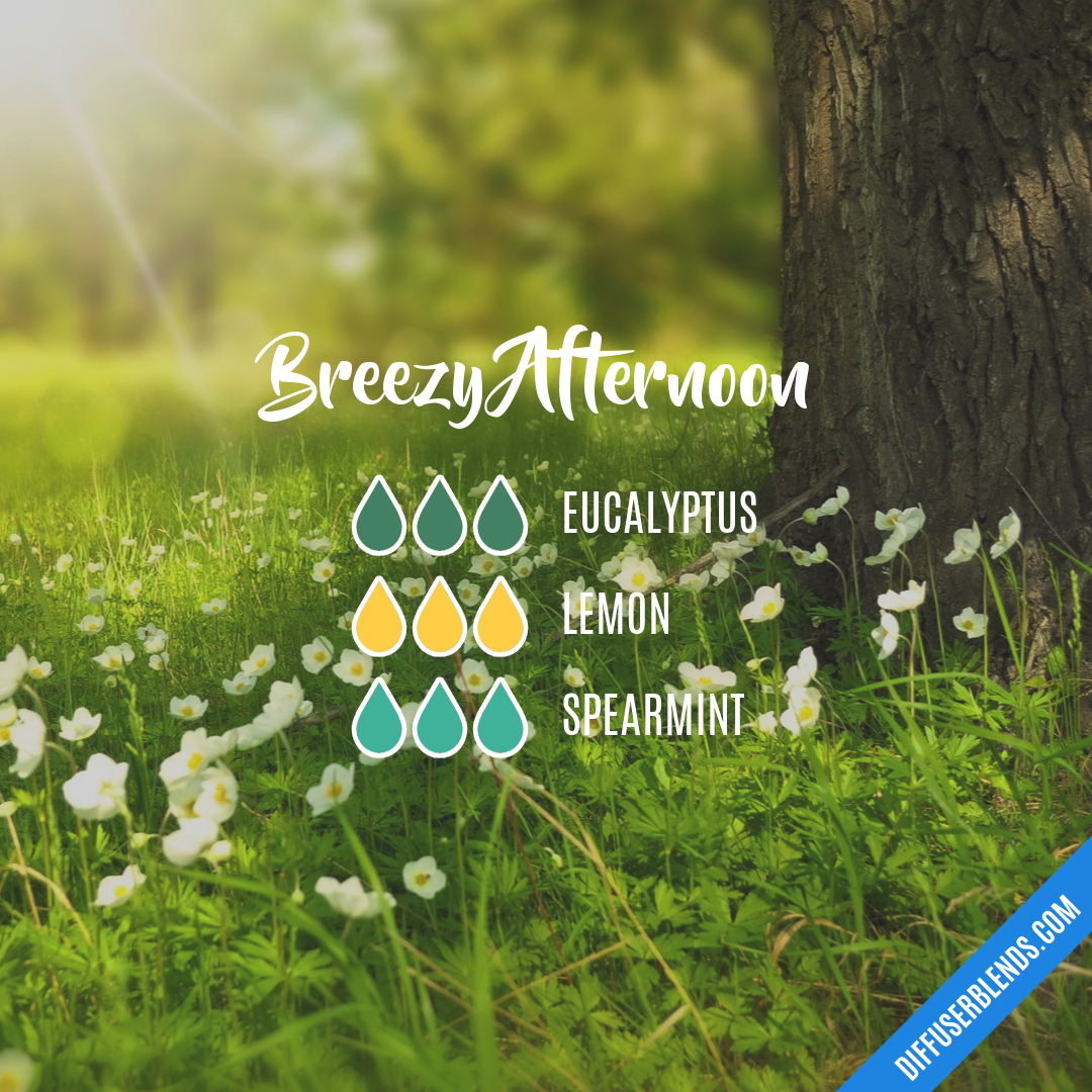 Breezy Afternoon | DiffuserBlends.com