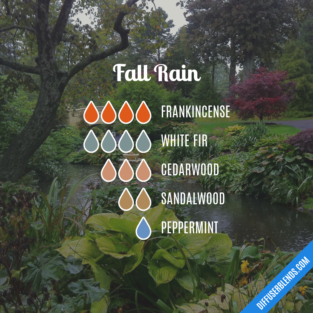 Fall Rain | DiffuserBlends.com