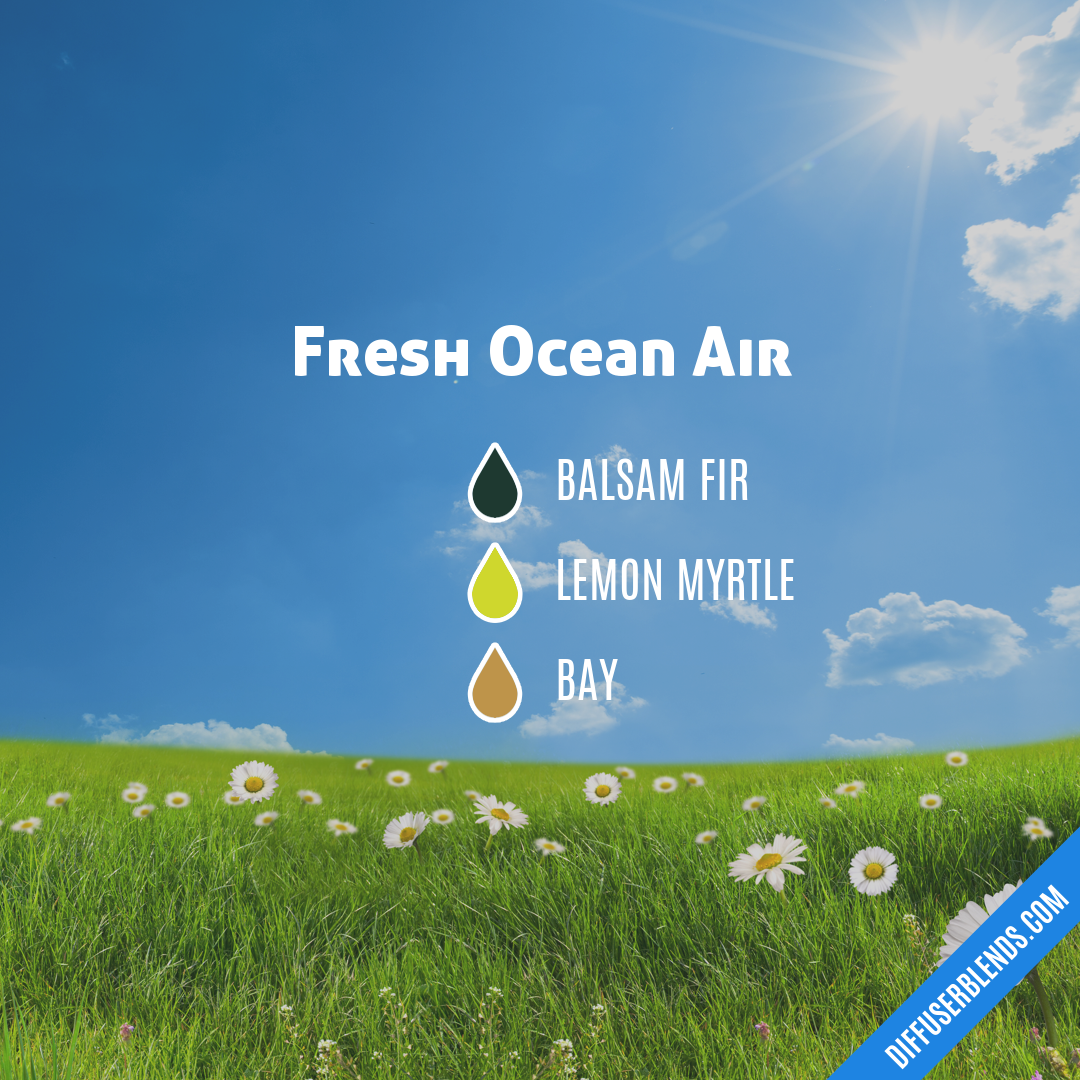 Fresh Ocean Air | DiffuserBlends.com