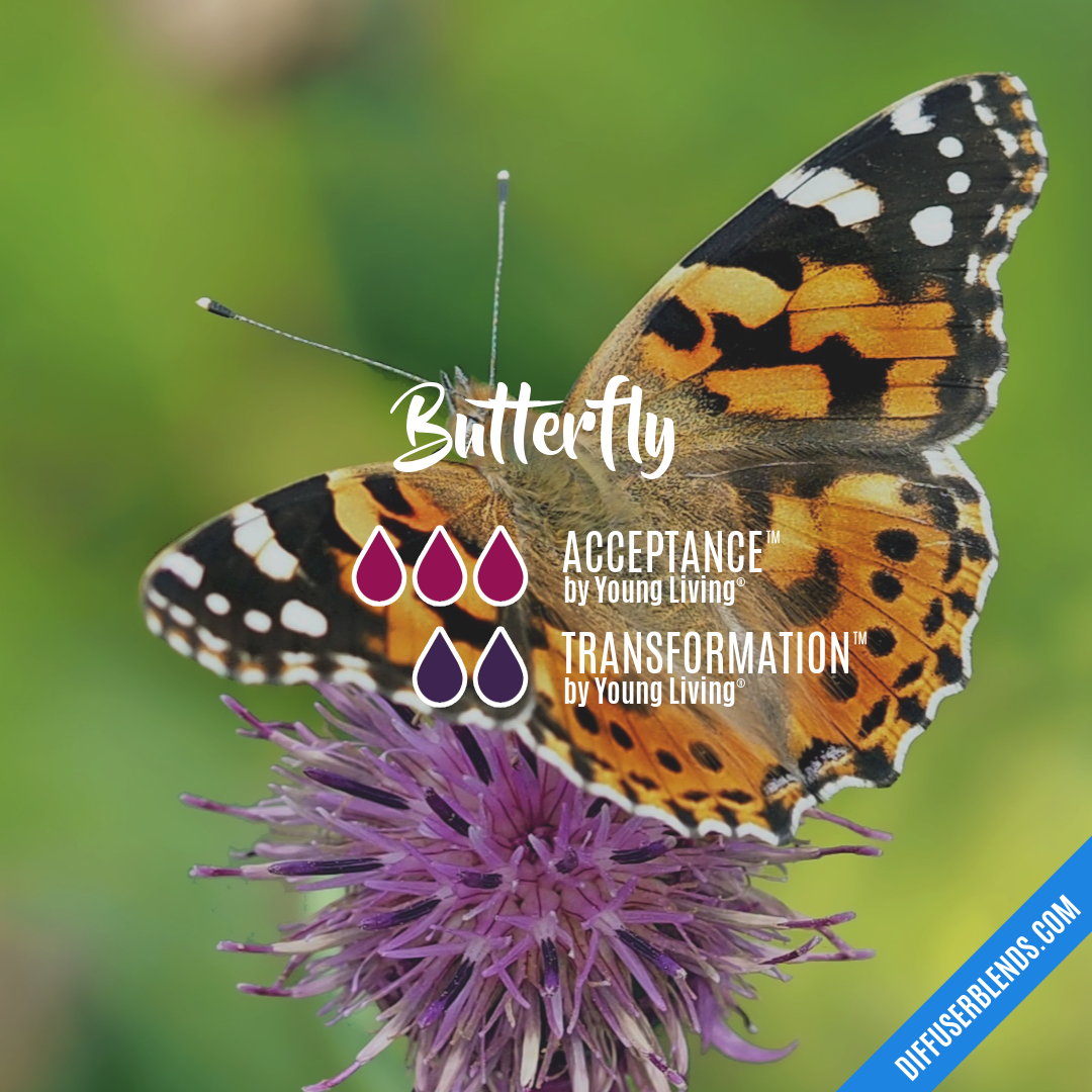 Butterfly | DiffuserBlends.com