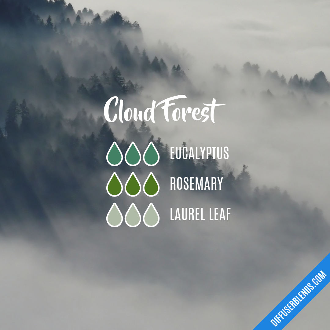 Cloud Forest | DiffuserBlends.com