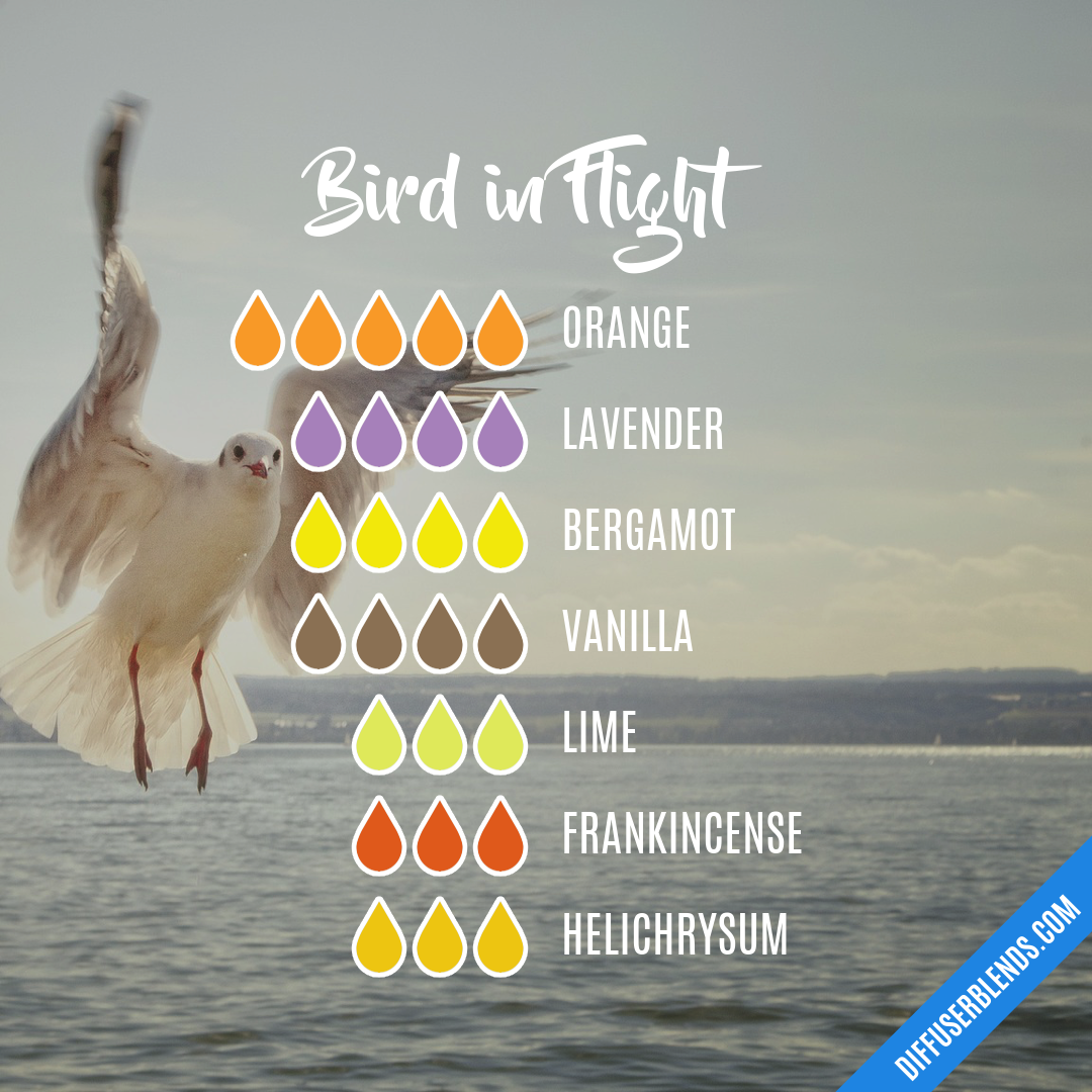 Bird in Flight | DiffuserBlends.com