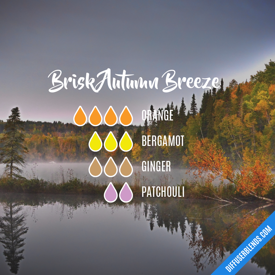 Brisk Autumn Breeze | DiffuserBlends.com