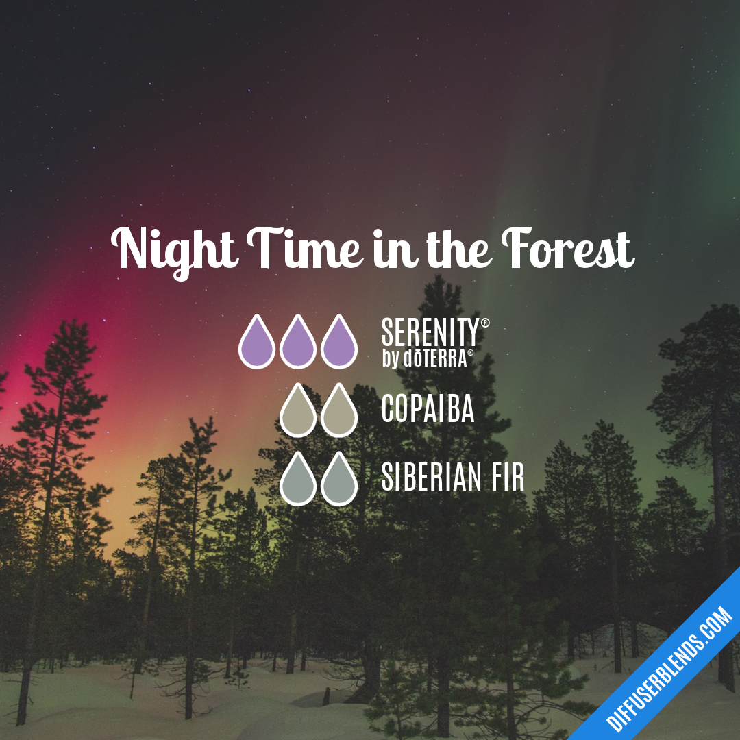 Night Time in the Forest | DiffuserBlends.com