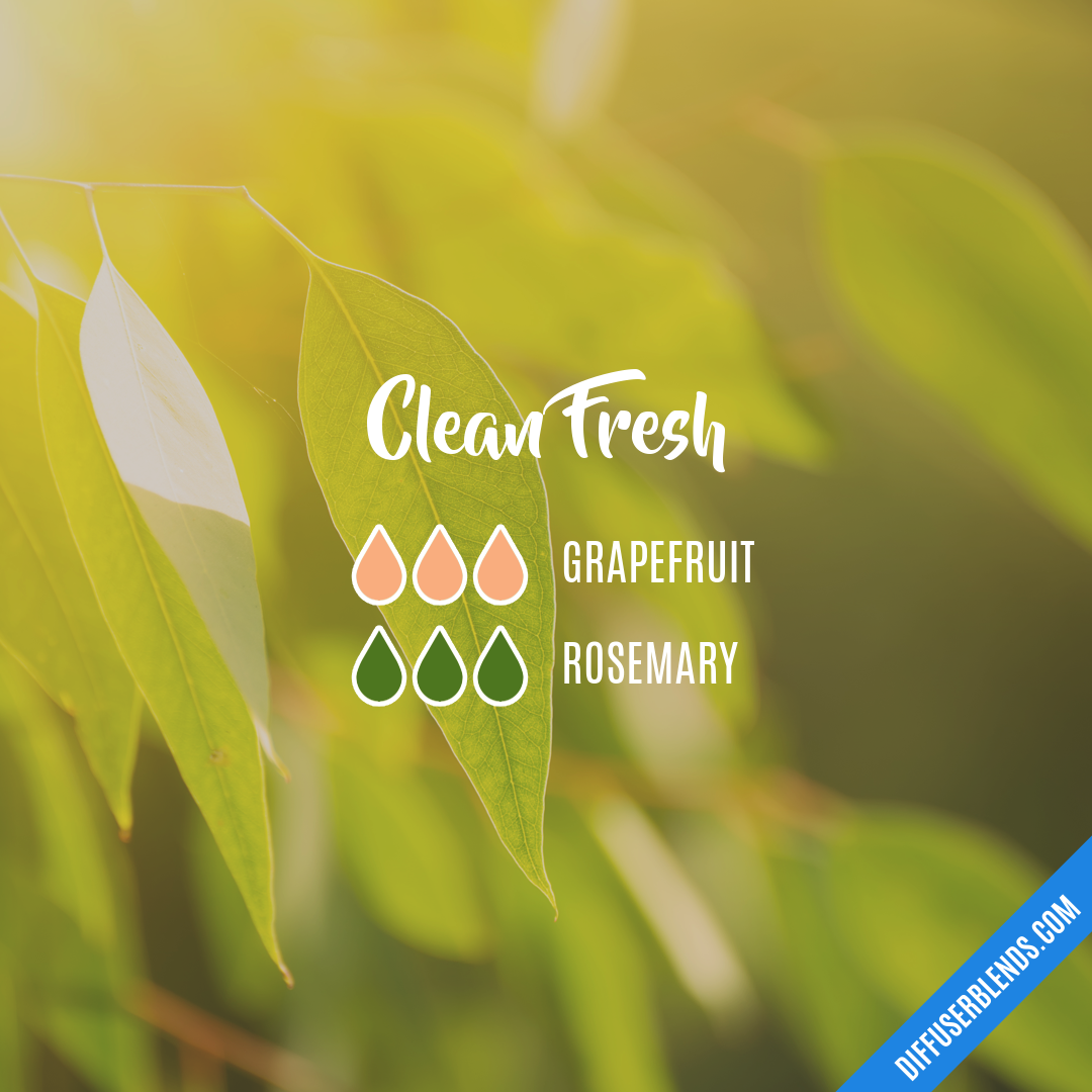 Clean Fresh | DiffuserBlends.com