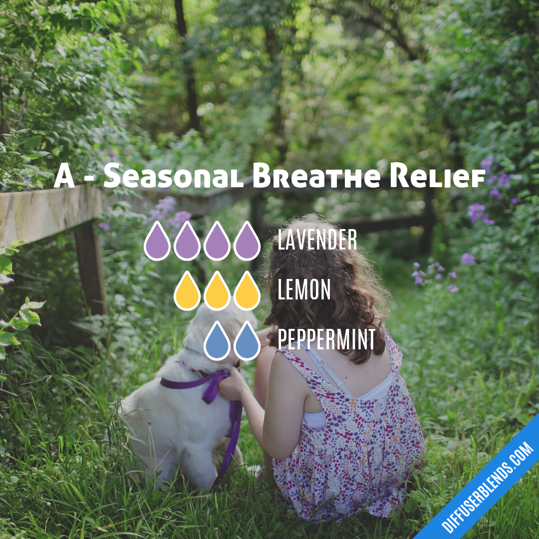 A - Seasonal Breathe Relief | DiffuserBlends.com