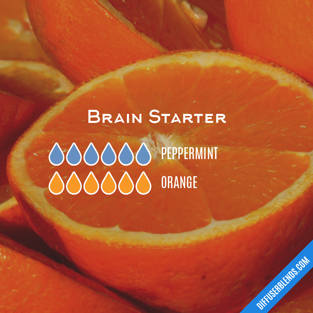 Brain Starter | DiffuserBlends.com