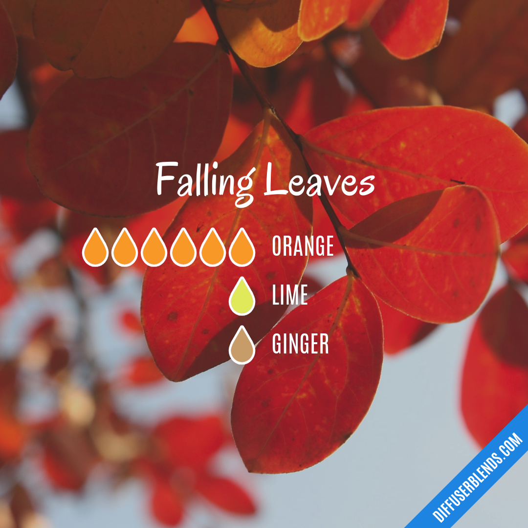 Falling Leaves | DiffuserBlends.com