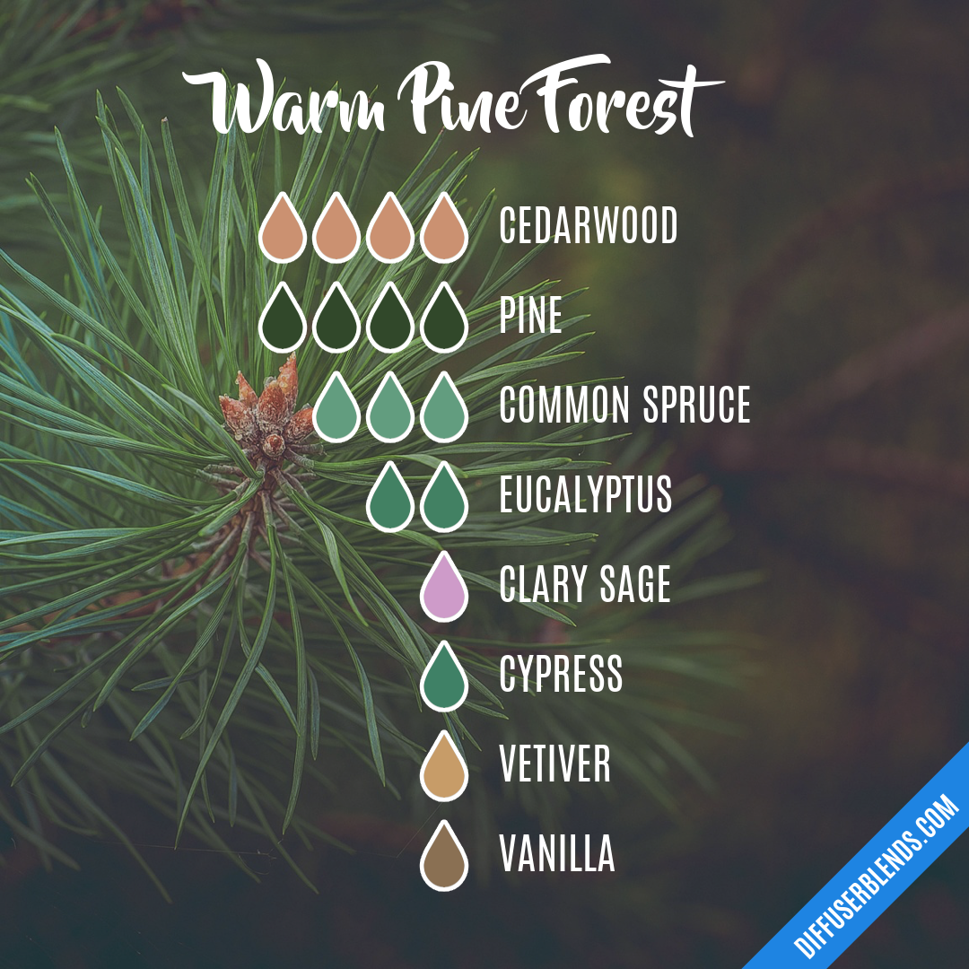 Warm Pine Forest | DiffuserBlends.com