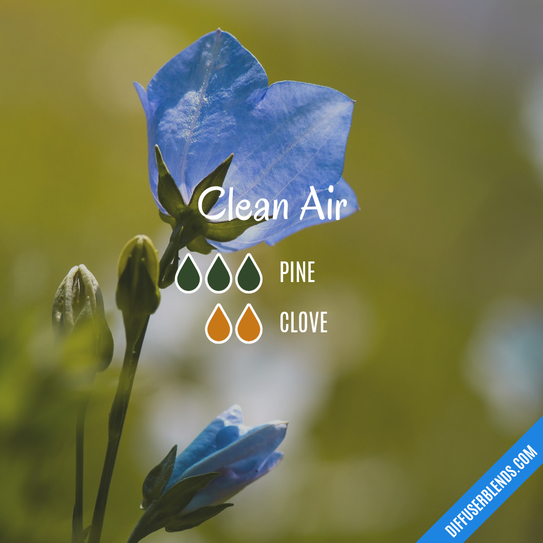 Clean Air | DiffuserBlends.com