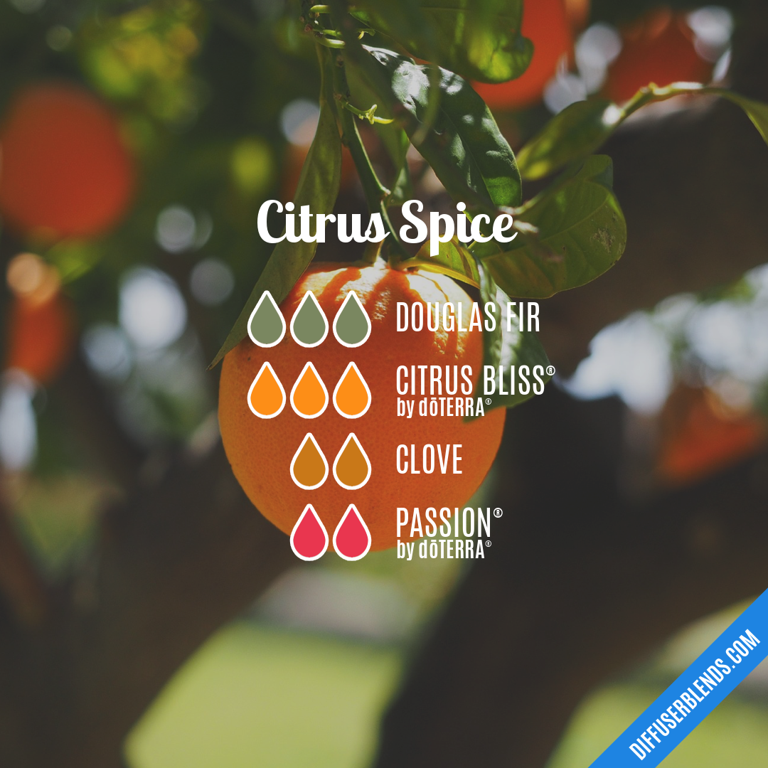 Citrus Spice | DiffuserBlends.com