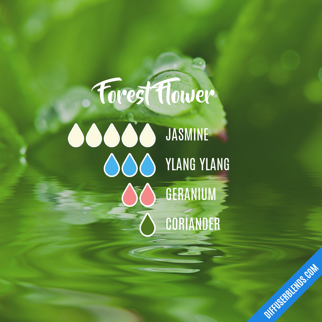 Forest Flower | DiffuserBlends.com
