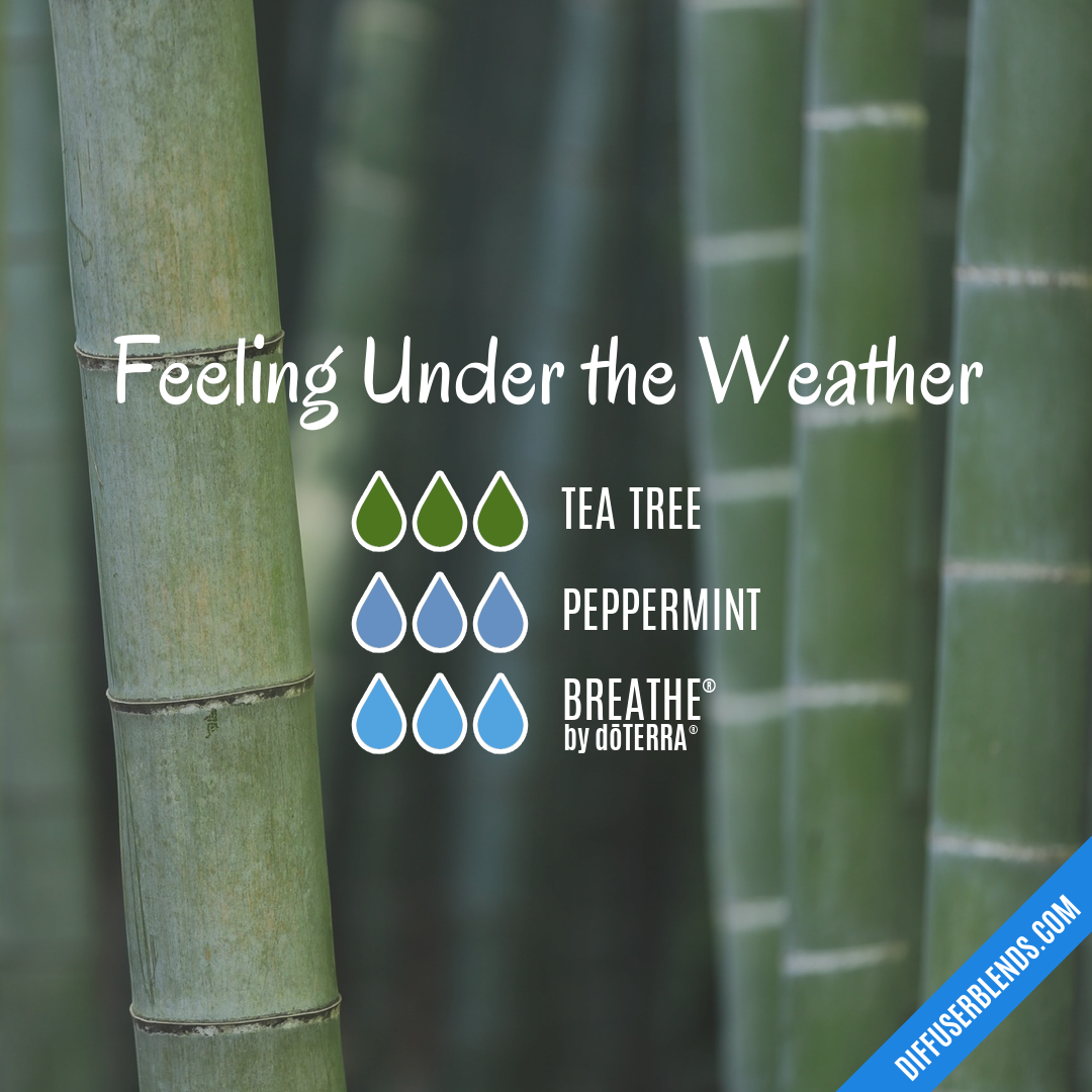 Feeling Under the Weather | DiffuserBlends.com