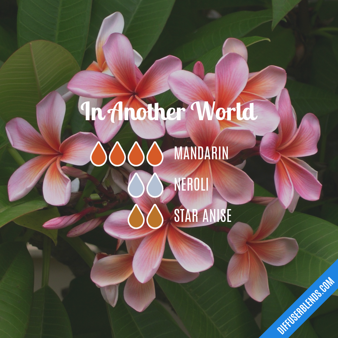 In Another World | DiffuserBlends.com