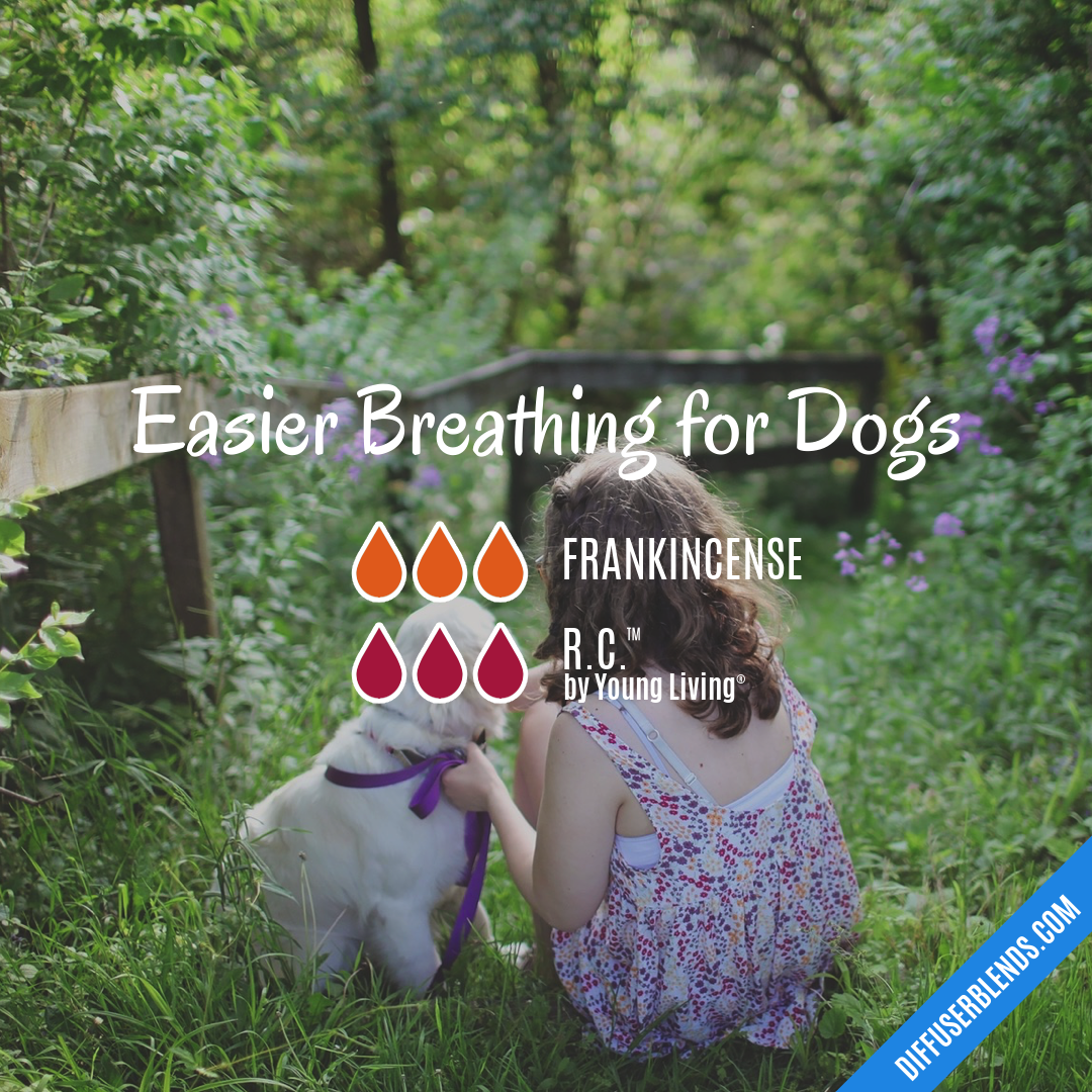 Easier Breathing for Dogs | DiffuserBlends.com