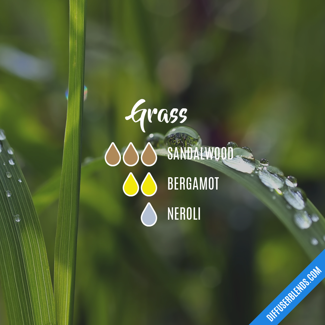 Grass | DiffuserBlends.com