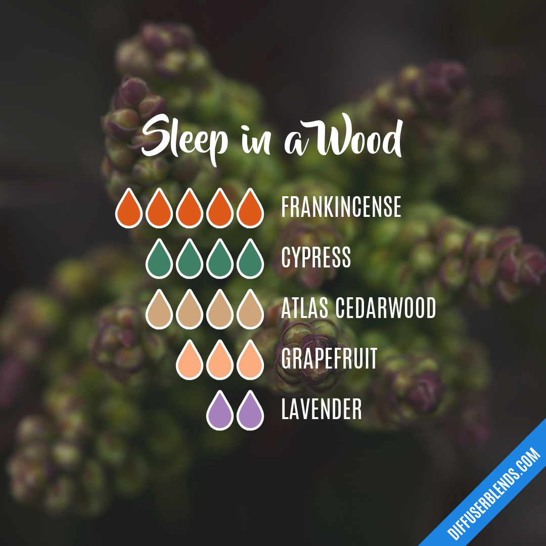 Sleep in a Wood | DiffuserBlends.com