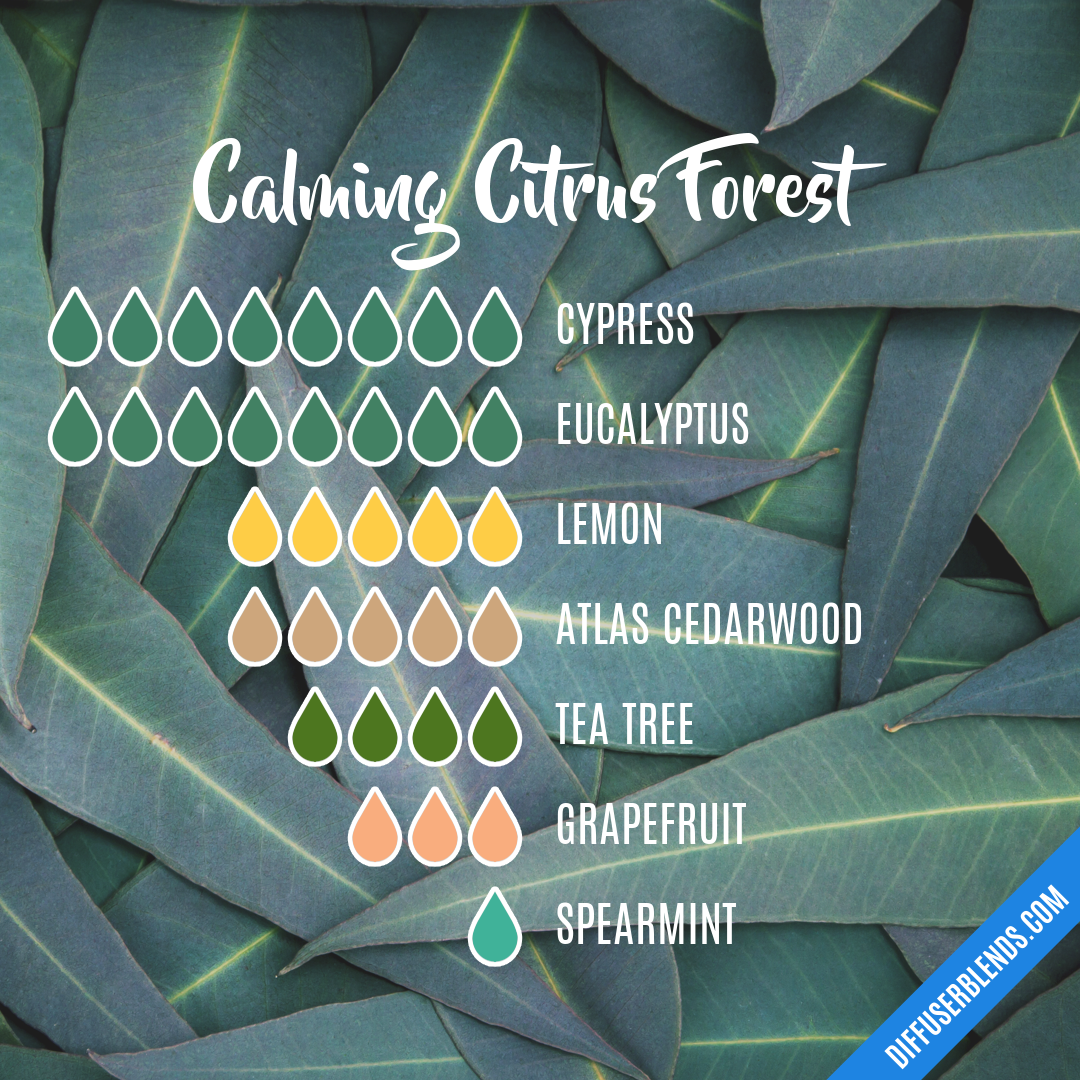 Calming Citrus Forest | DiffuserBlends.com