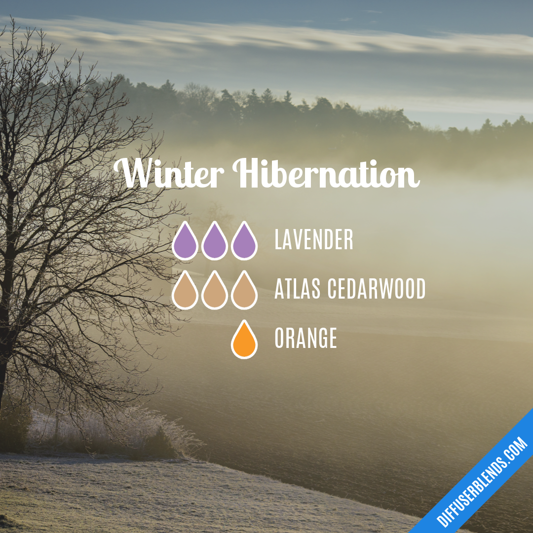 Winter Hibernation | DiffuserBlends.com