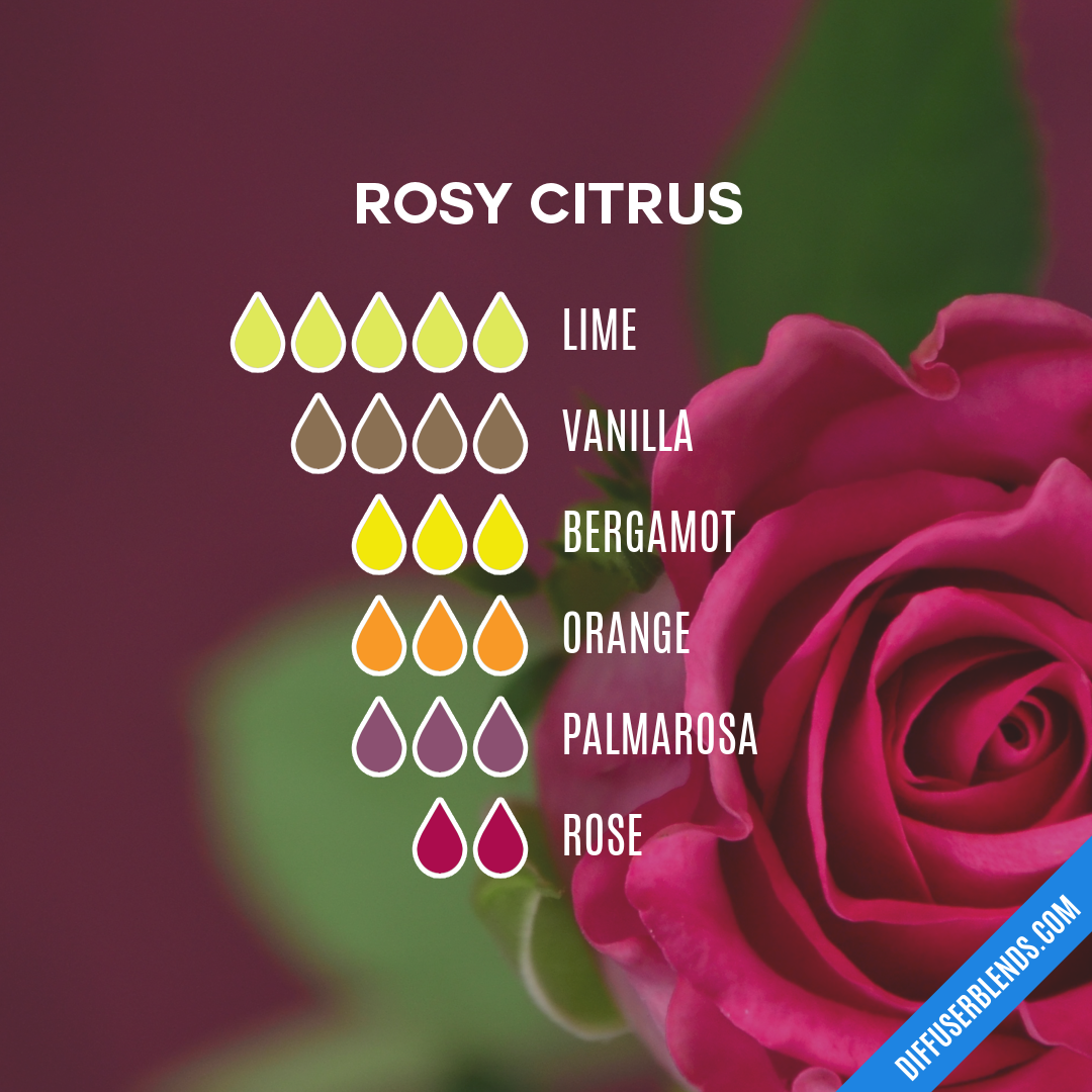 Rosy Citrus | DiffuserBlends.com