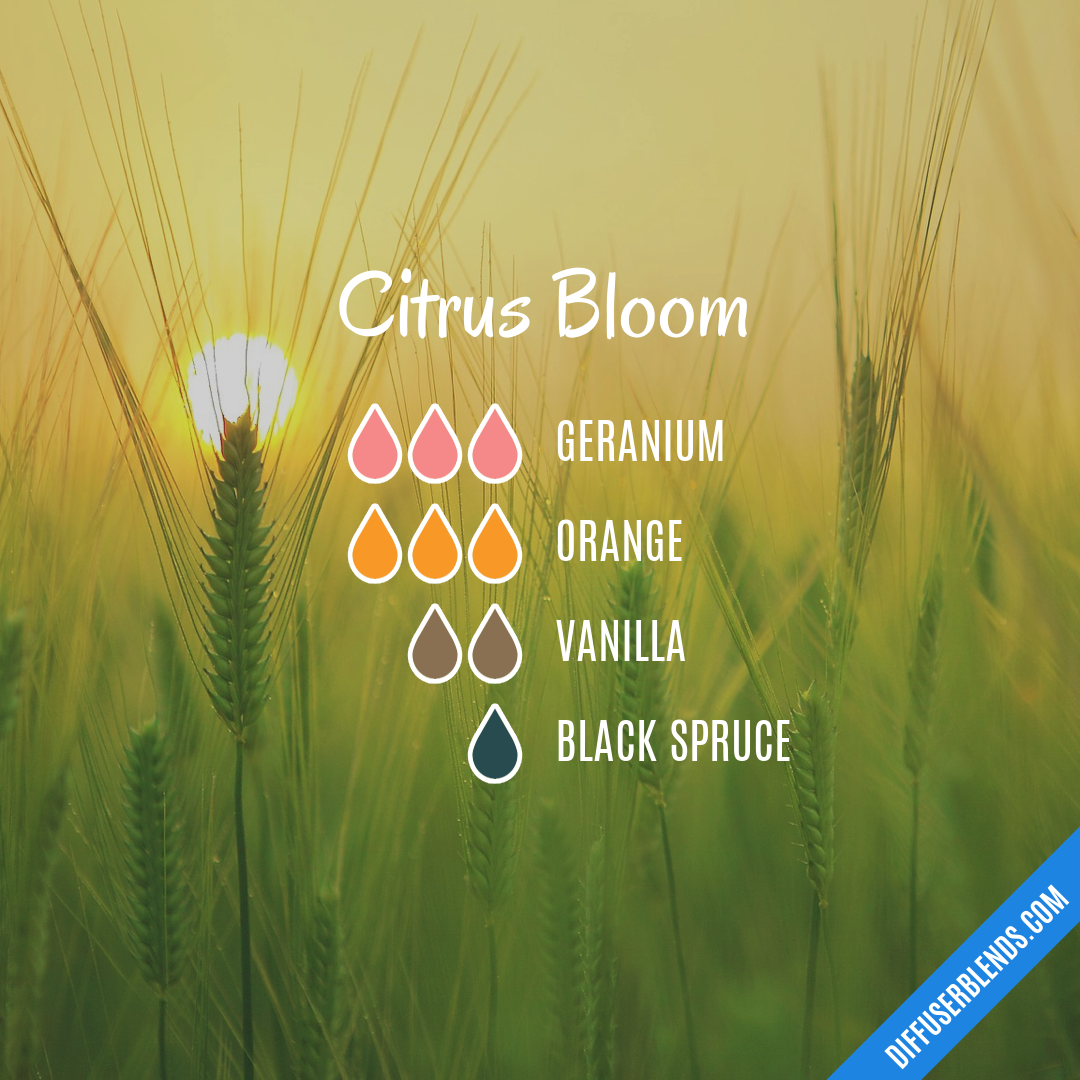 Citrus Bloom | DiffuserBlends.com