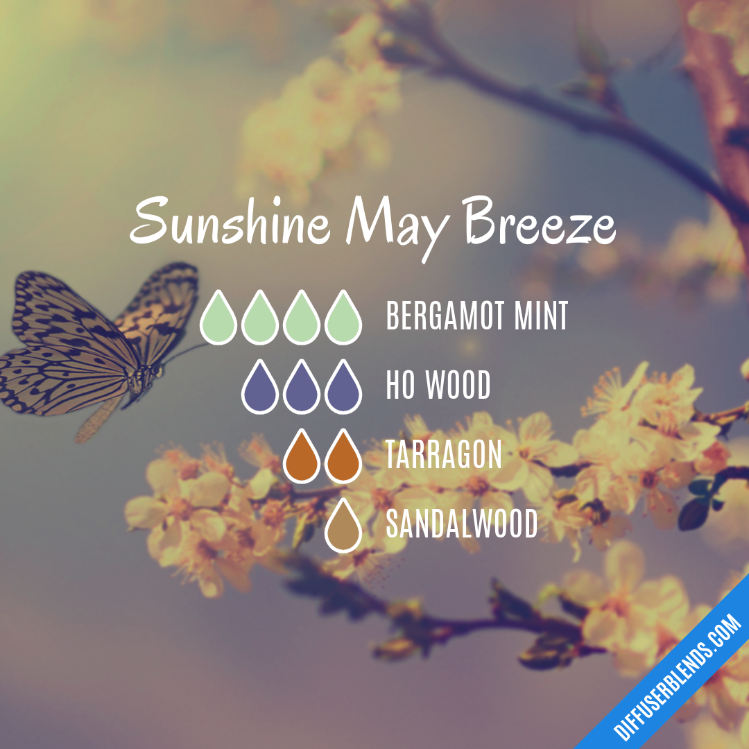 Sunshine May Breeze | DiffuserBlends.com