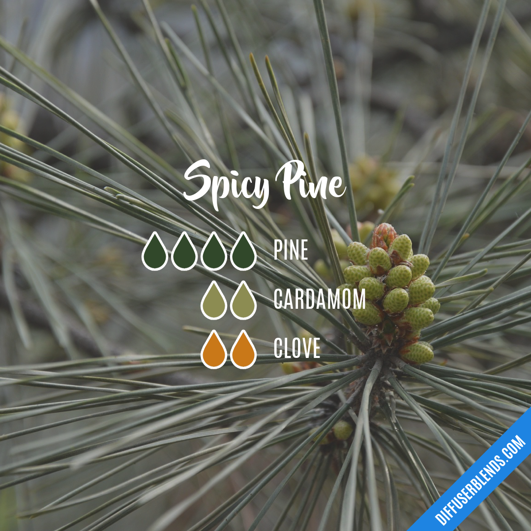 Spicy Pine | DiffuserBlends.com