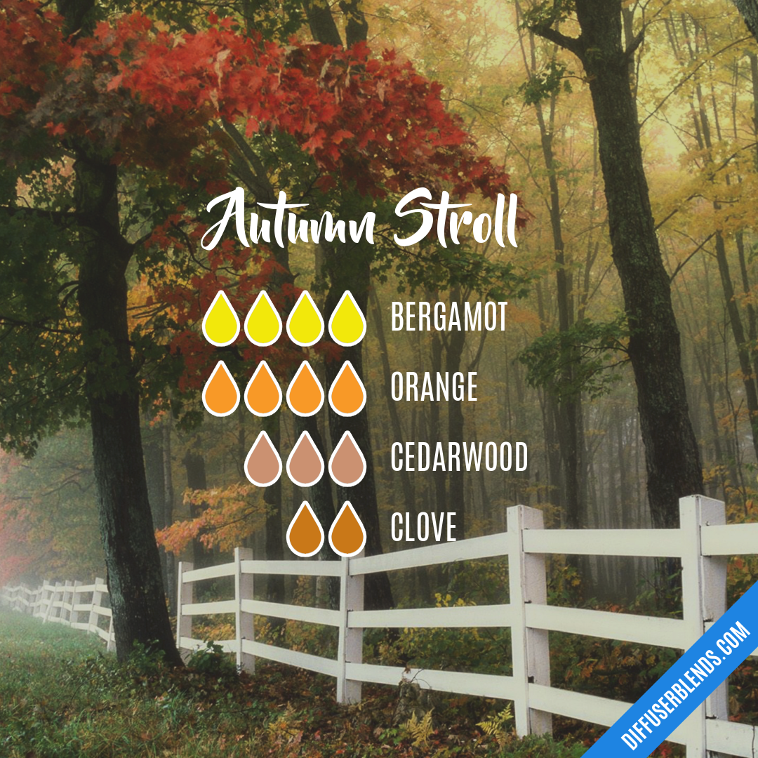 Autumn Stroll | DiffuserBlends.com