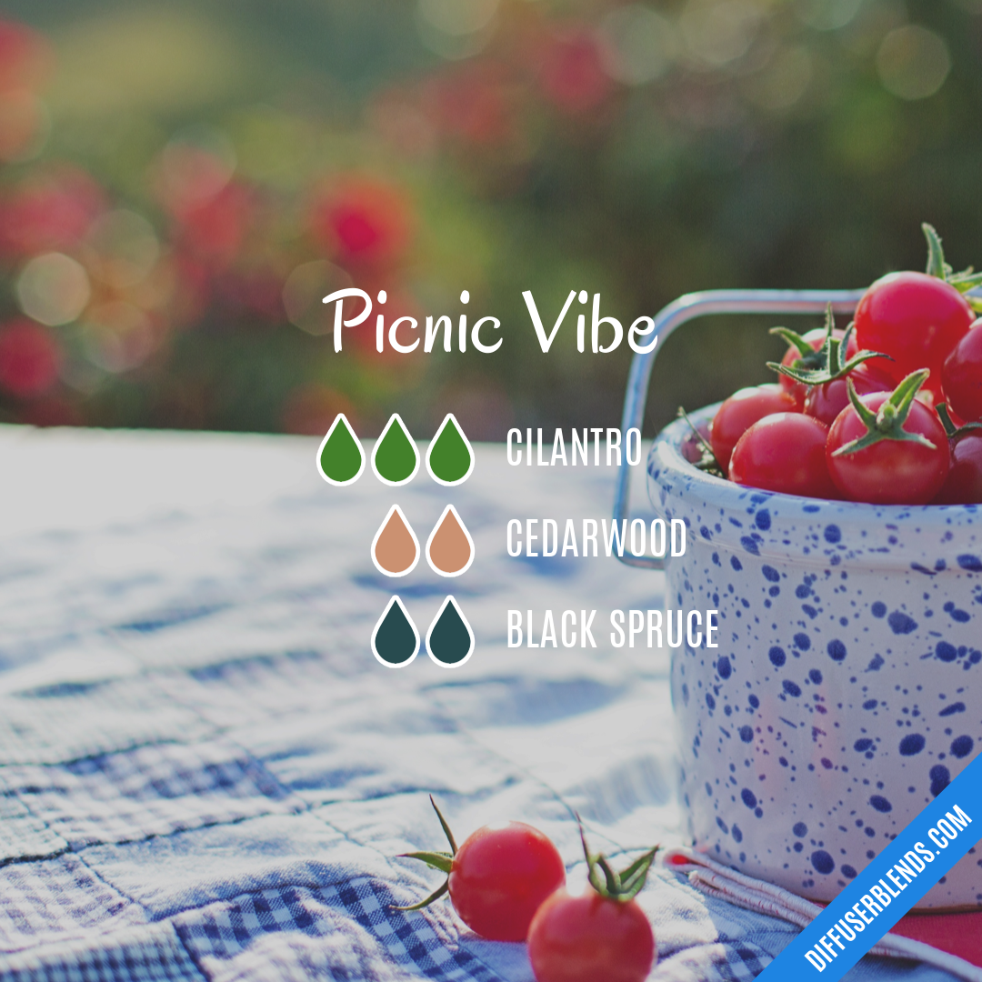 Picnic Vibe | DiffuserBlends.com