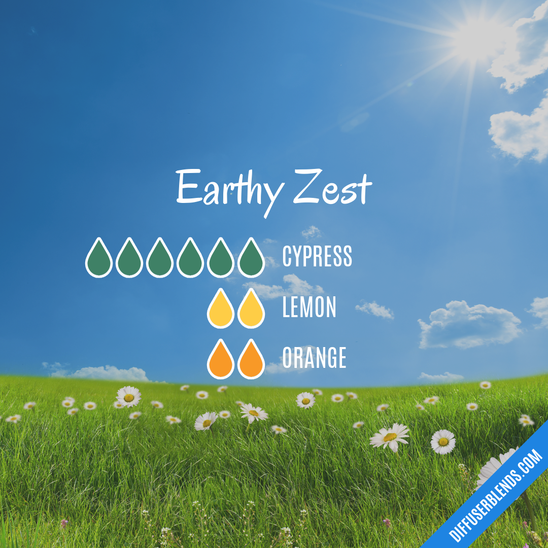 Earthy Zest | DiffuserBlends.com