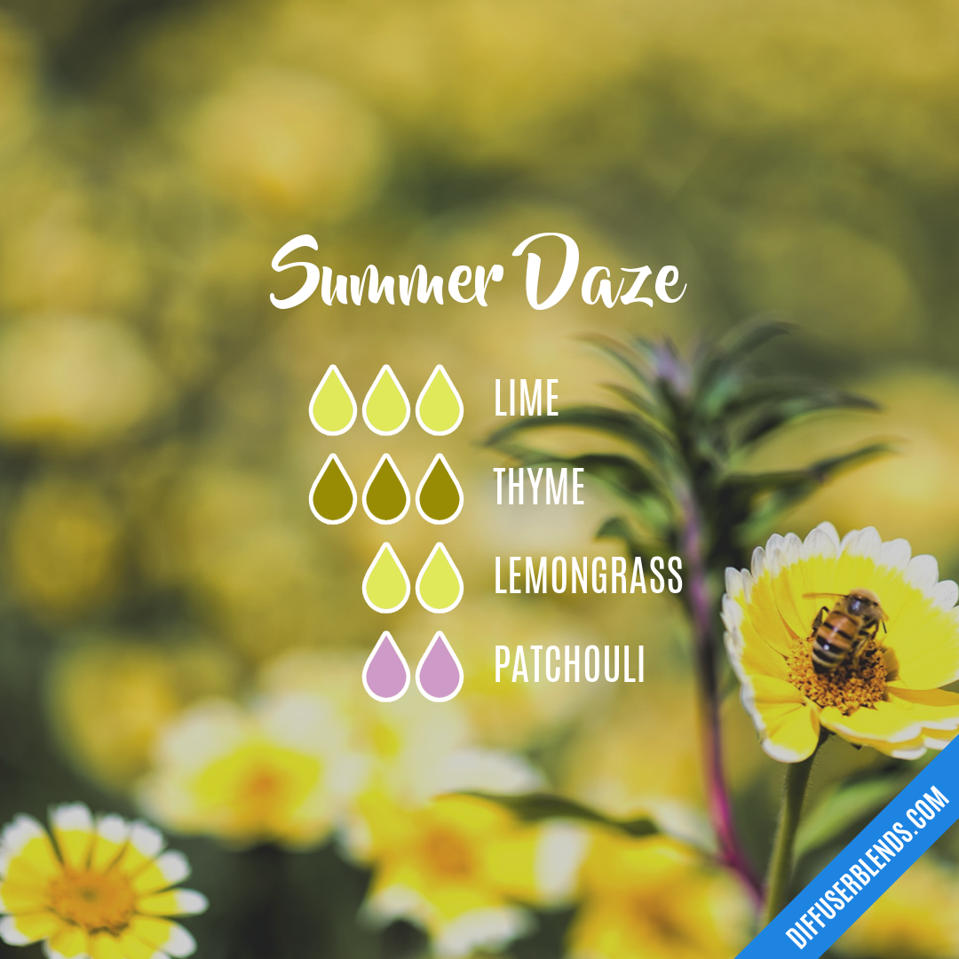 Summer Daze | DiffuserBlends.com