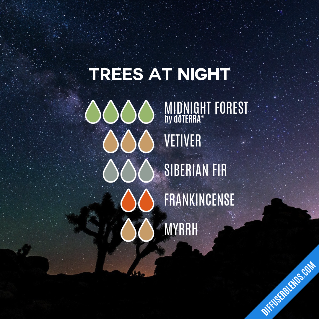 Trees at Night | DiffuserBlends.com
