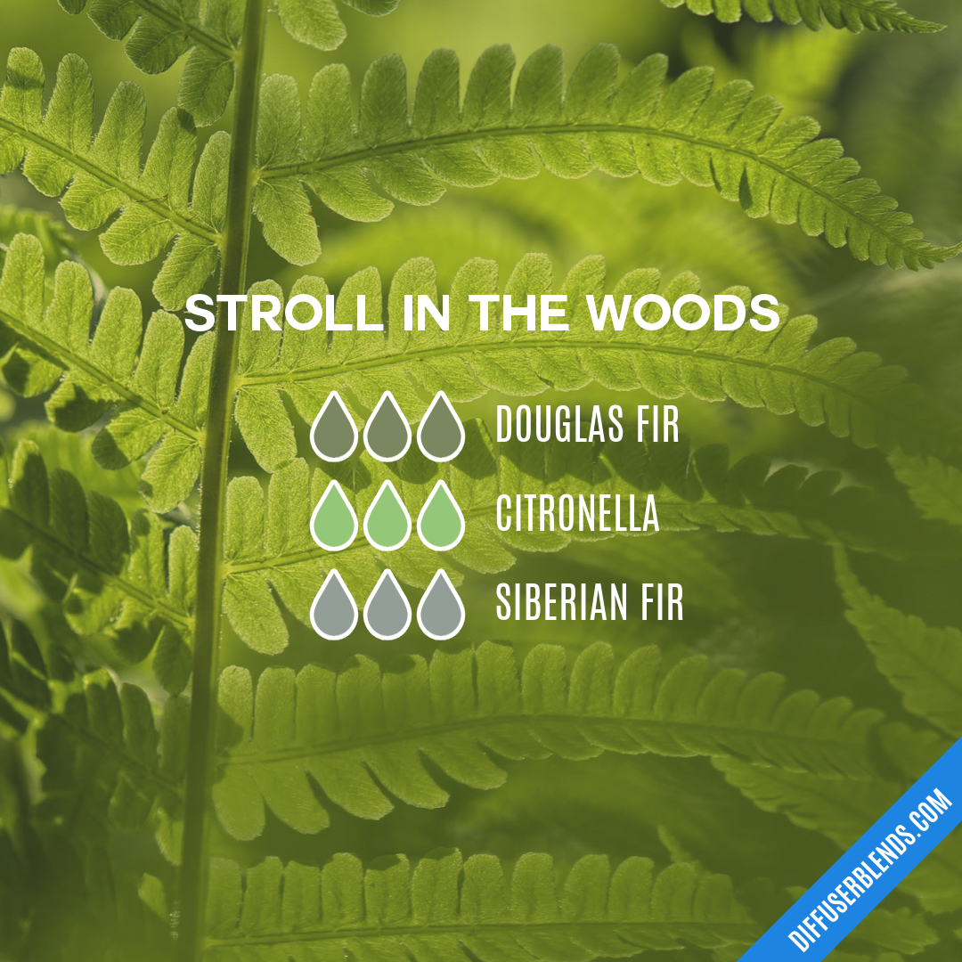 Stroll in the Woods | DiffuserBlends.com