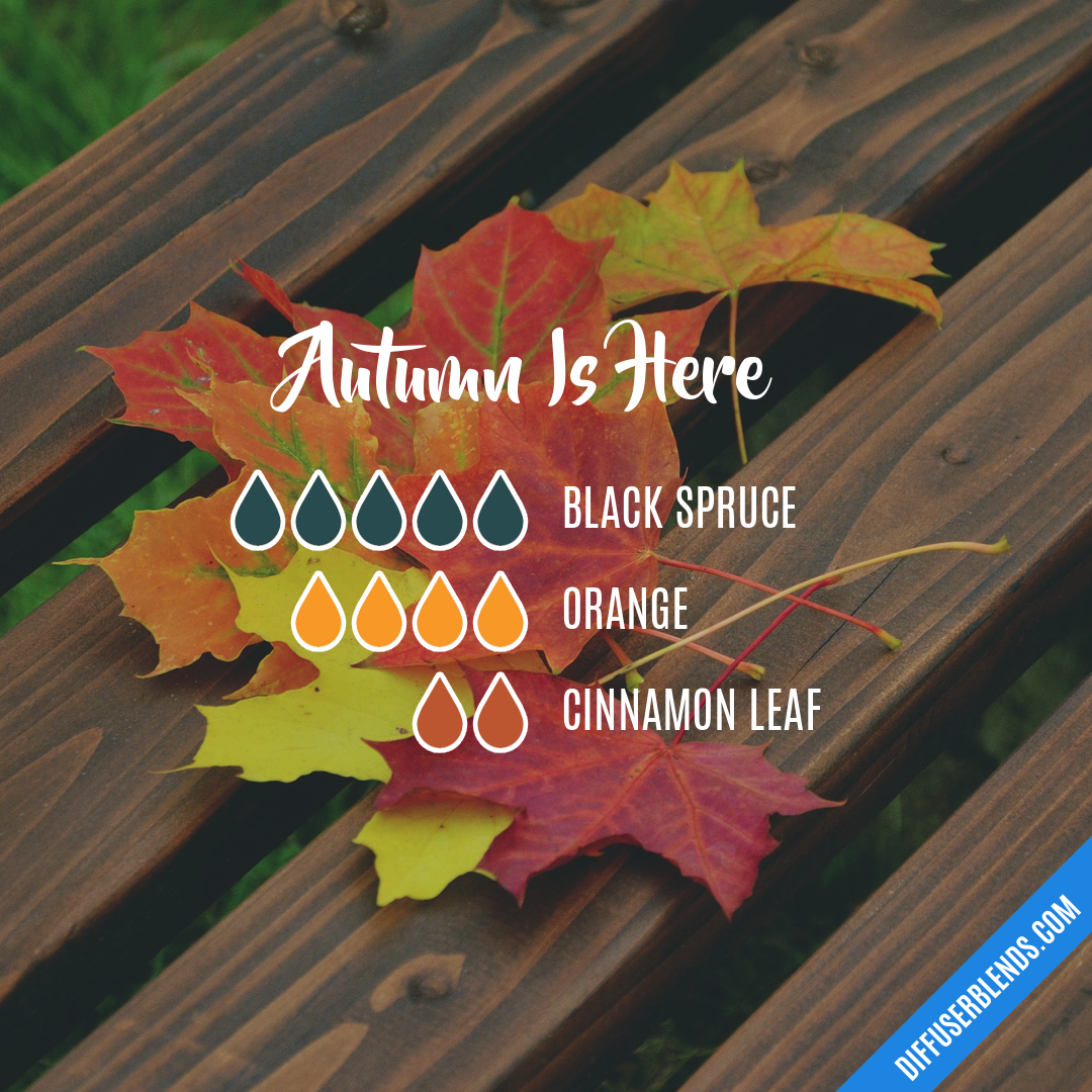 Autumn Is Here | DiffuserBlends.com