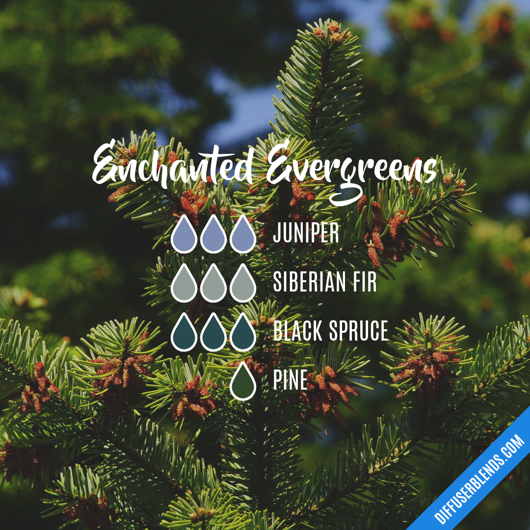 Enchanted Evergreens | DiffuserBlends.com