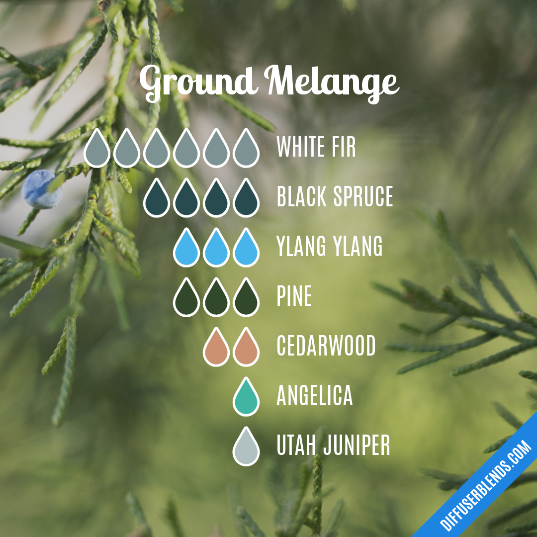 Ground Melange | DiffuserBlends.com