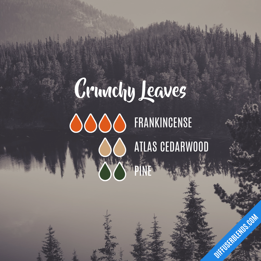 Crunchy Leaves | DiffuserBlends.com
