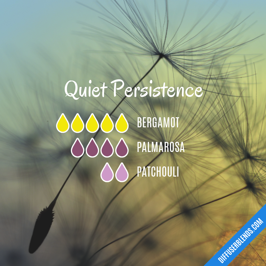 Quiet Persistence | DiffuserBlends.com