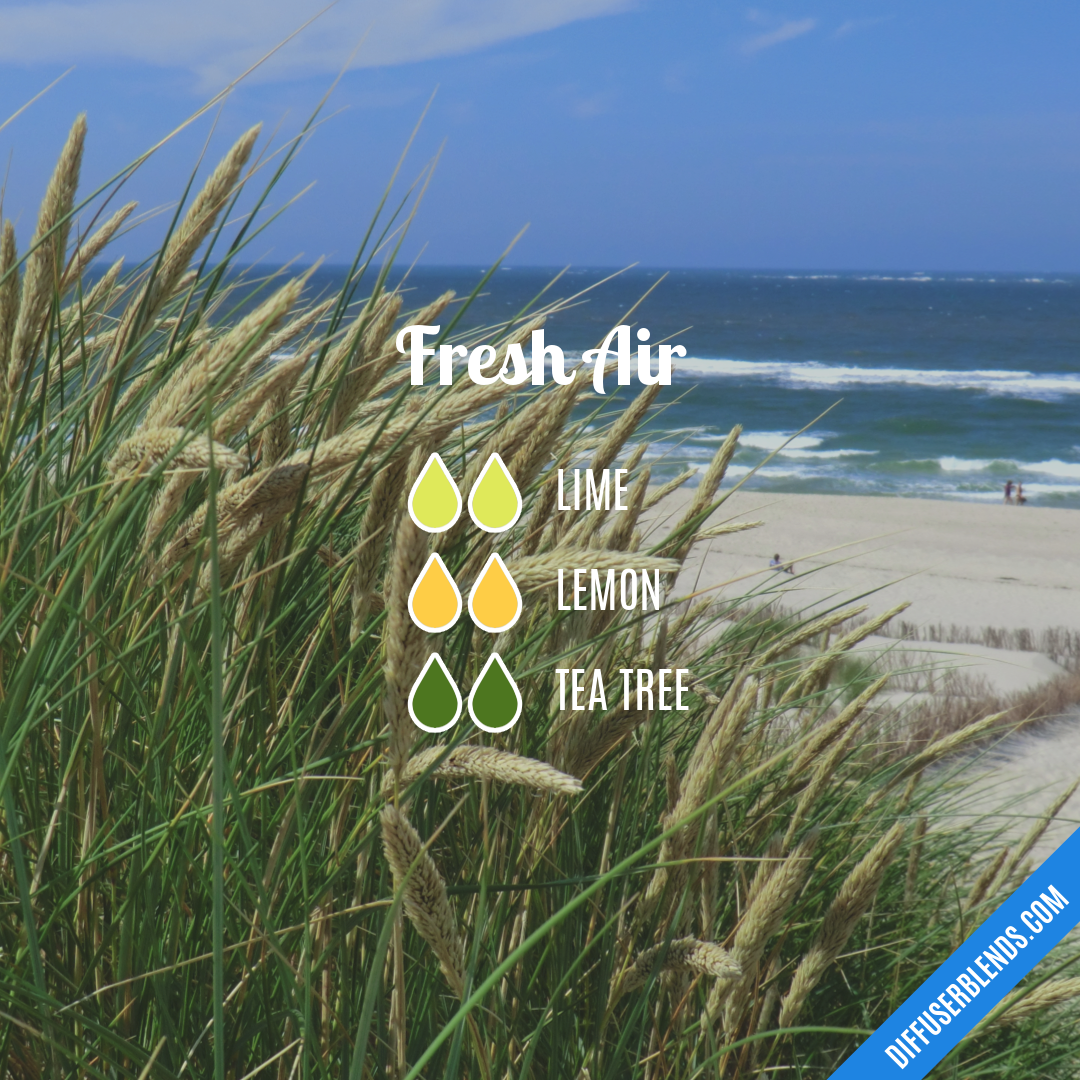 Fresh Air | DiffuserBlends.com