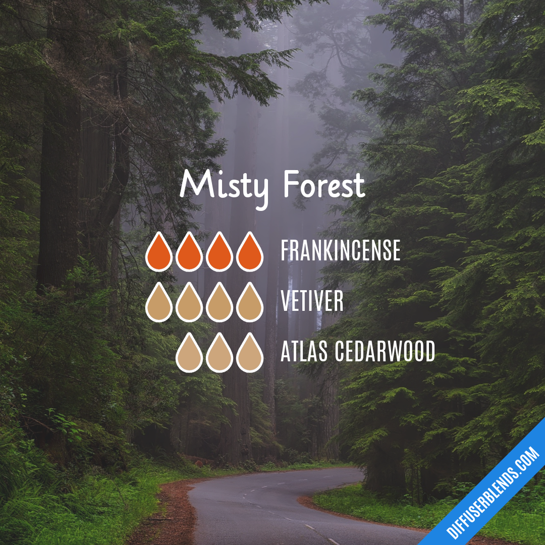 Misty Forest | DiffuserBlends.com