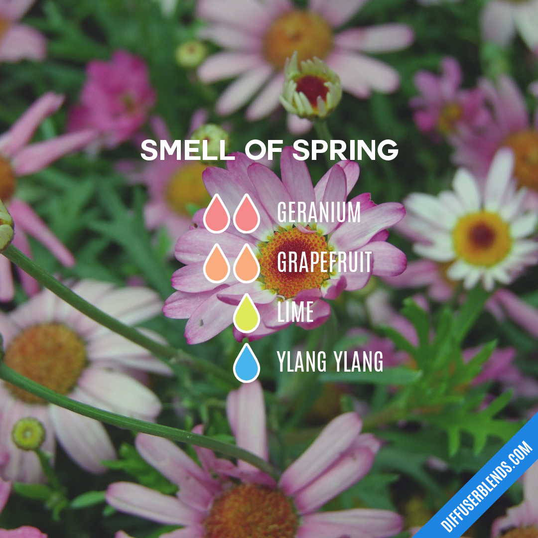 Smell of Spring | DiffuserBlends.com