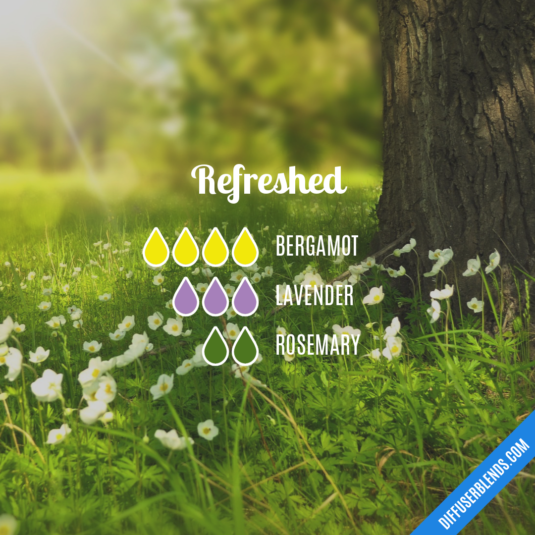 Refreshed | DiffuserBlends.com
