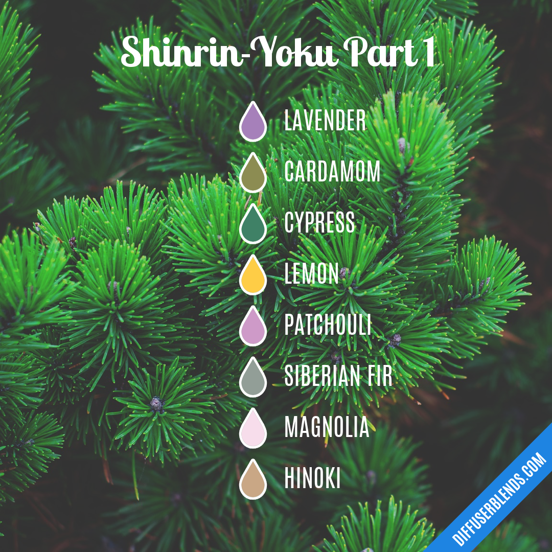 Shinrin-Yoku Part 1 | DiffuserBlends.com