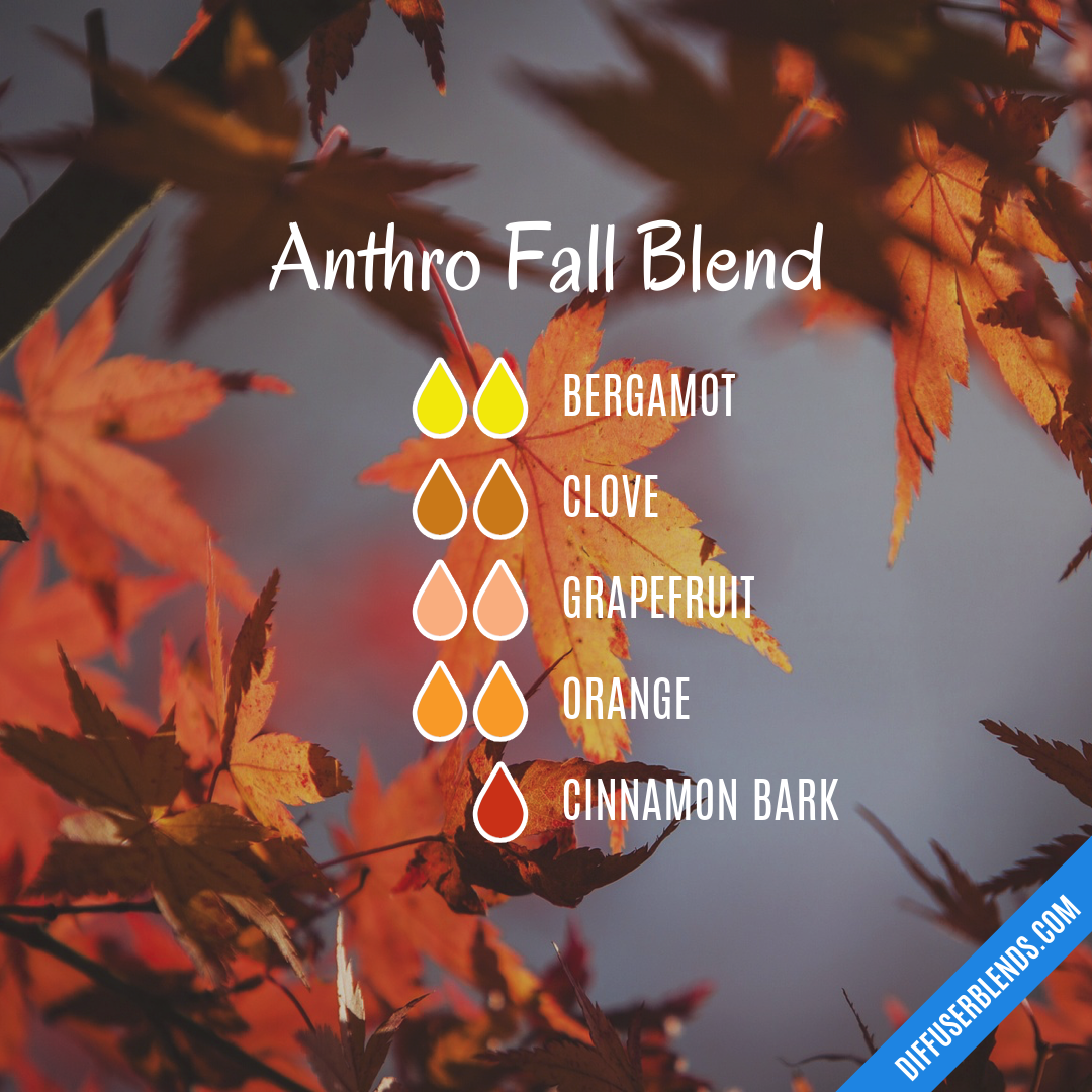 Anthro Fall Blend | DiffuserBlends.com