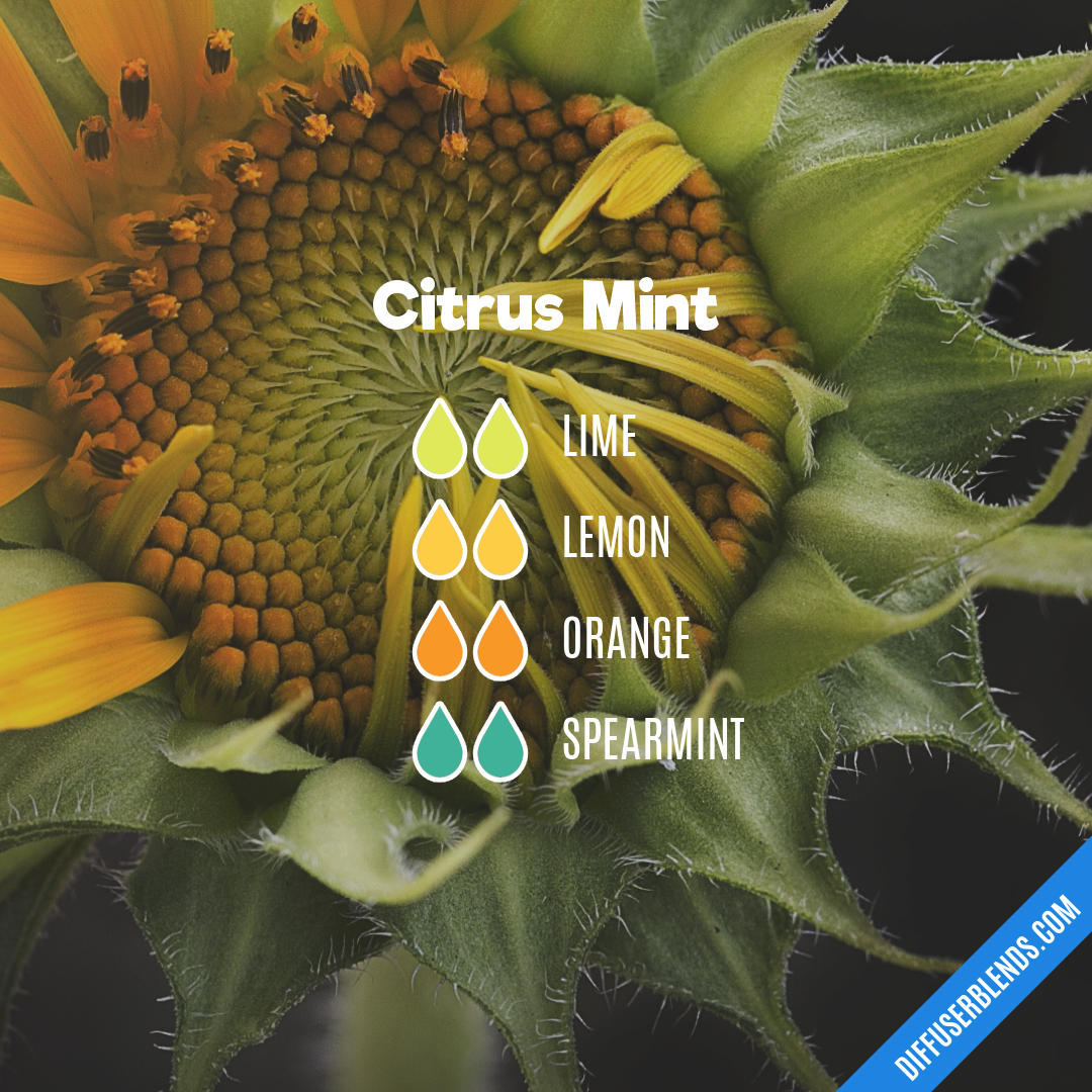 Citrus Mint | DiffuserBlends.com