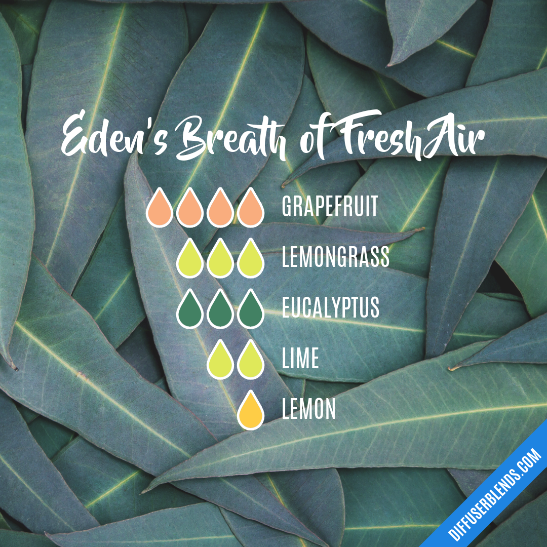 Eden's Breath of Fresh Air | DiffuserBlends.com