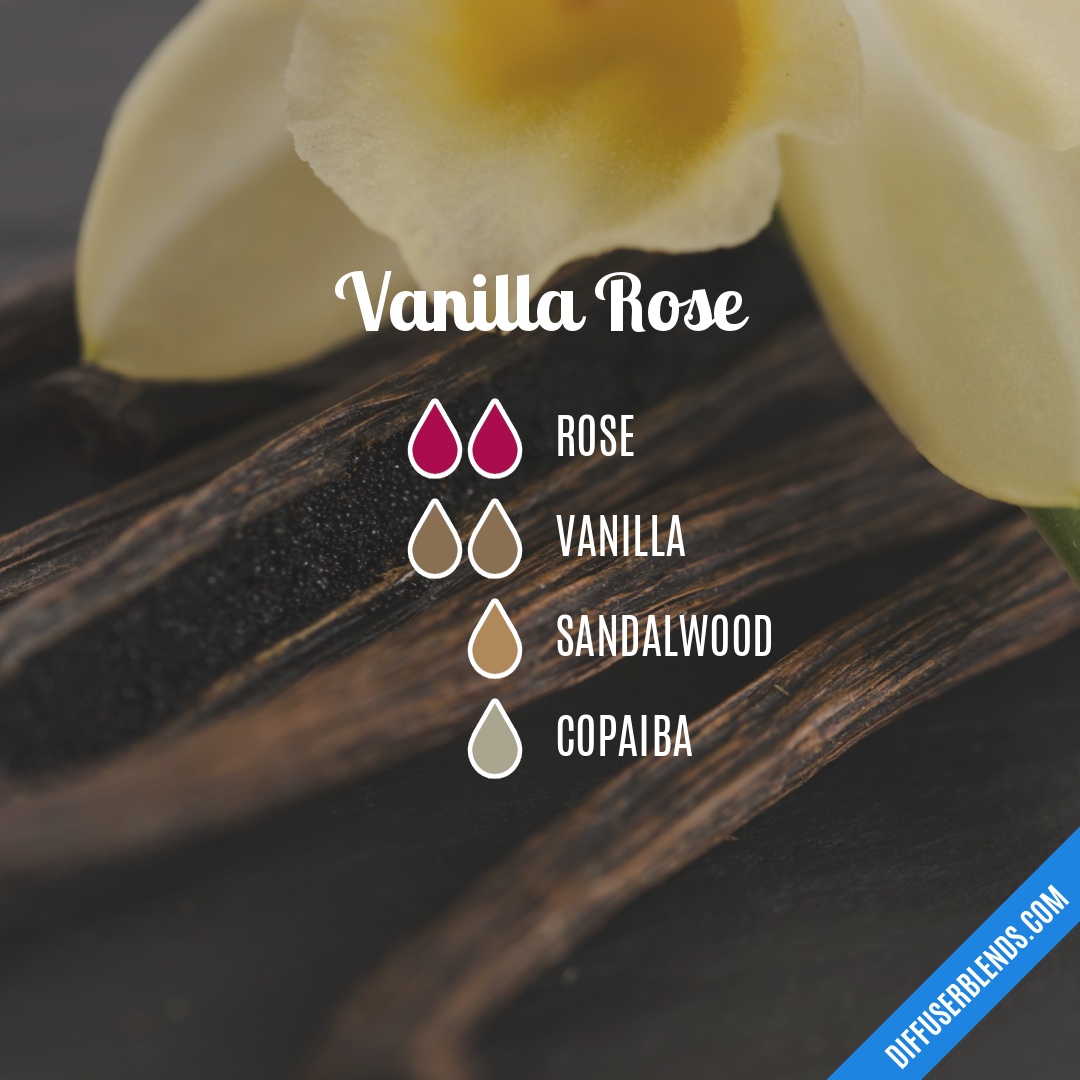 Vanilla Rose | DiffuserBlends.com