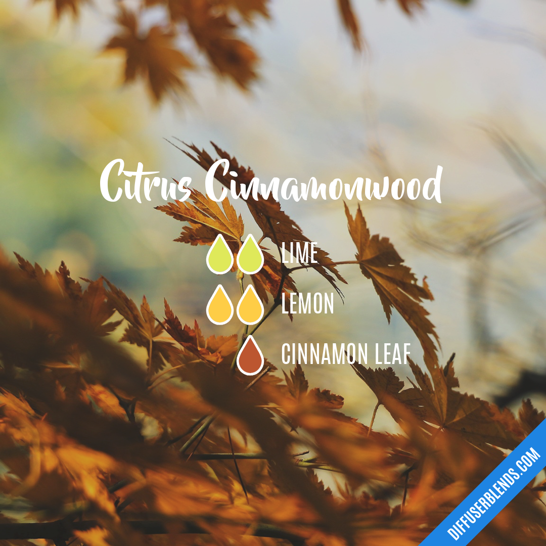 Citrus Cinnamonwood | DiffuserBlends.com